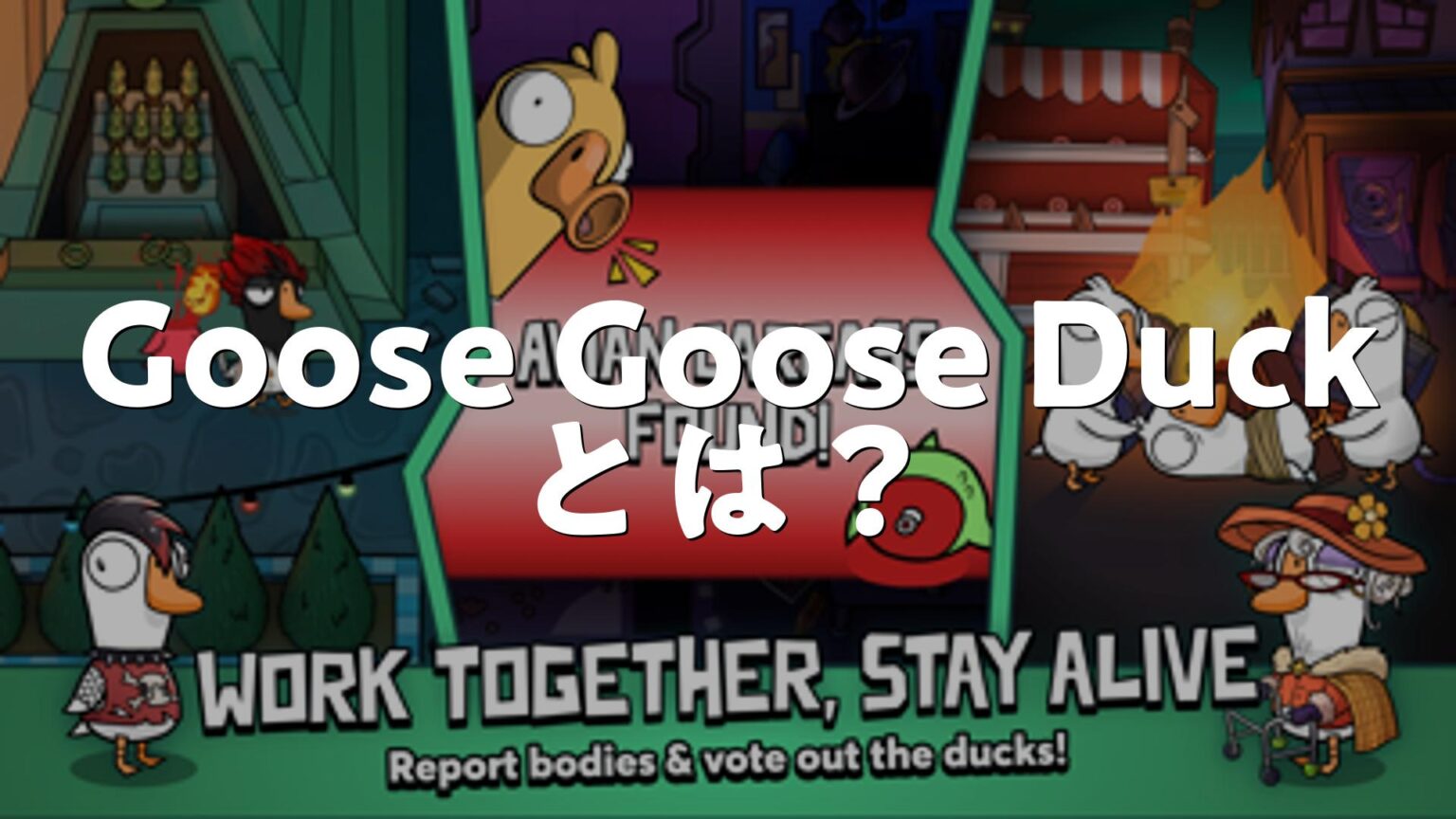 Goose Goose Duckとは？アプリで何ができる？使い方、評価、無料か調査 | AppMatch