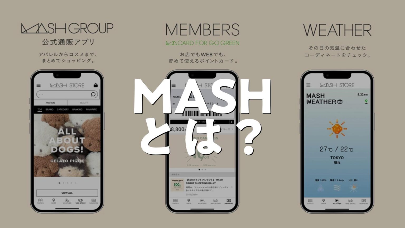 MASH STOREとは？アプリで何ができる？使い方、評価、無料か調査 | AppMatch