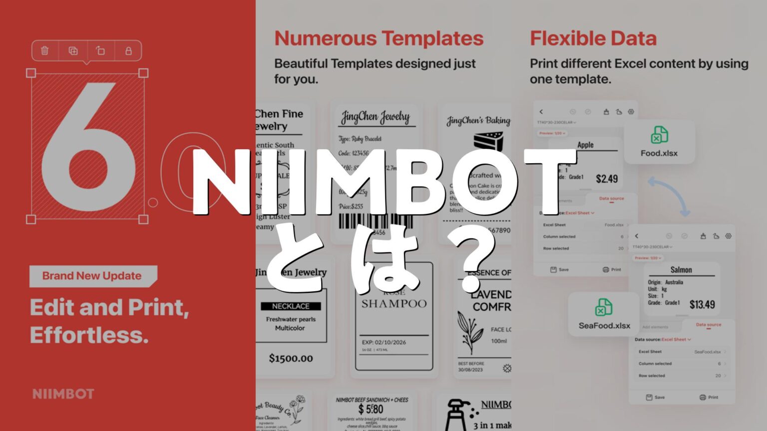 NIIMBOTとは？アプリで何ができる？使い方、評価、無料か調査 | AppMatch